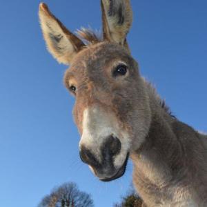 Seit oder seid – wann ist was richtig?